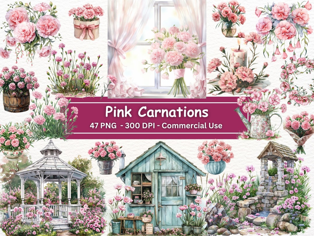 Watercolor Pink Carnations Clipart Bundle, 47 PNG Images, Commercial ...