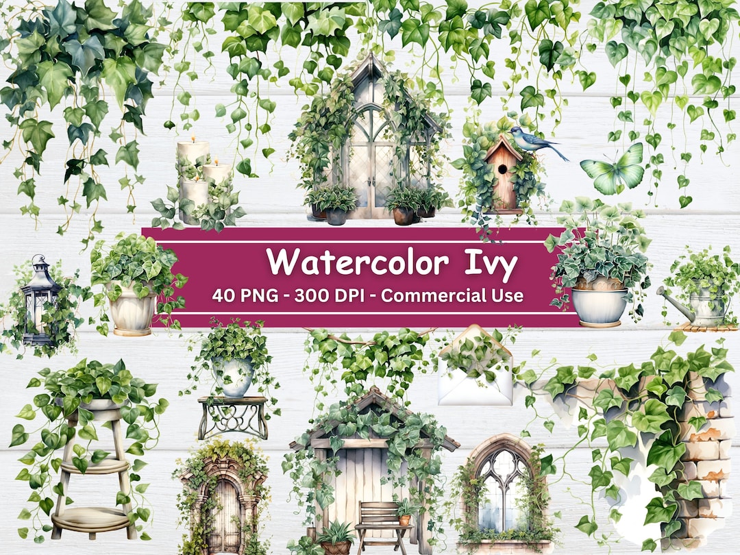 Watercolor Green Ivy Clipart: Botanical Foliage PNG Set (digital ...