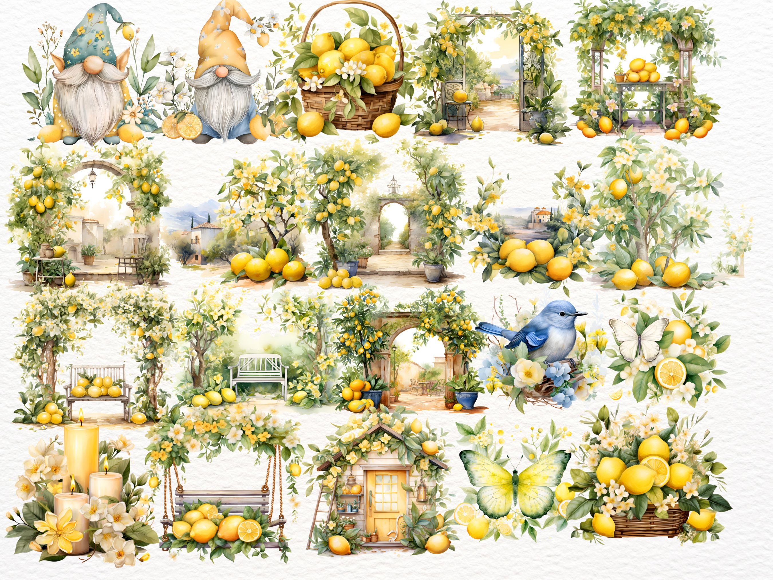 Watercolor Lemons Clipart Bundle, PNG Set of 53, Lemon Clip Art, Rustic ...