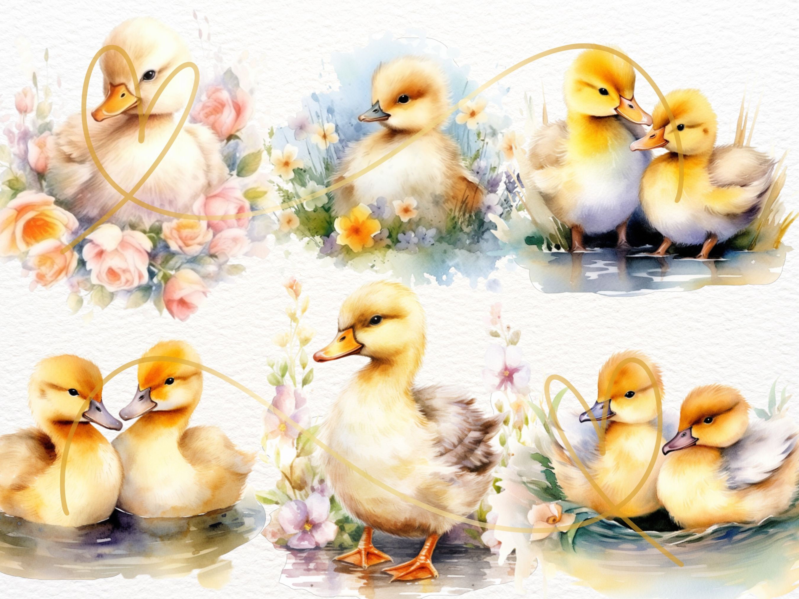 Duckling Clipart Bundle Set of 13 Pngs Digital Download - Etsy
