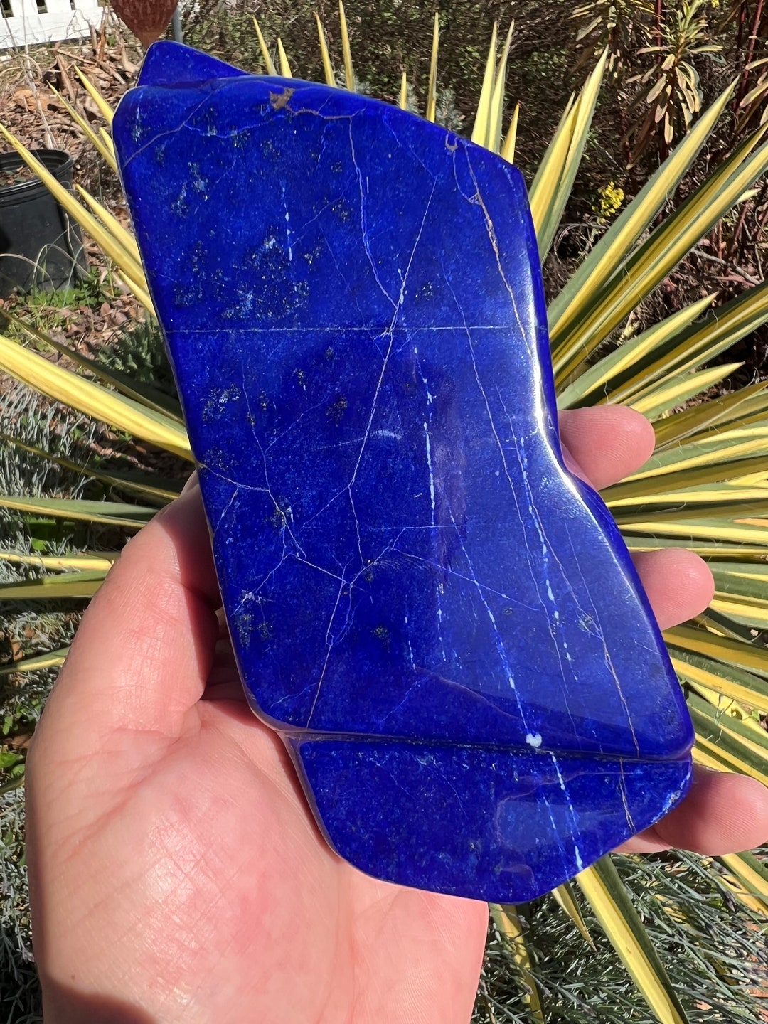 Gorgeous Grade AAA Lapis Lazuli Freeform 1.29kg 2.84 Pounds Afghanistan ...