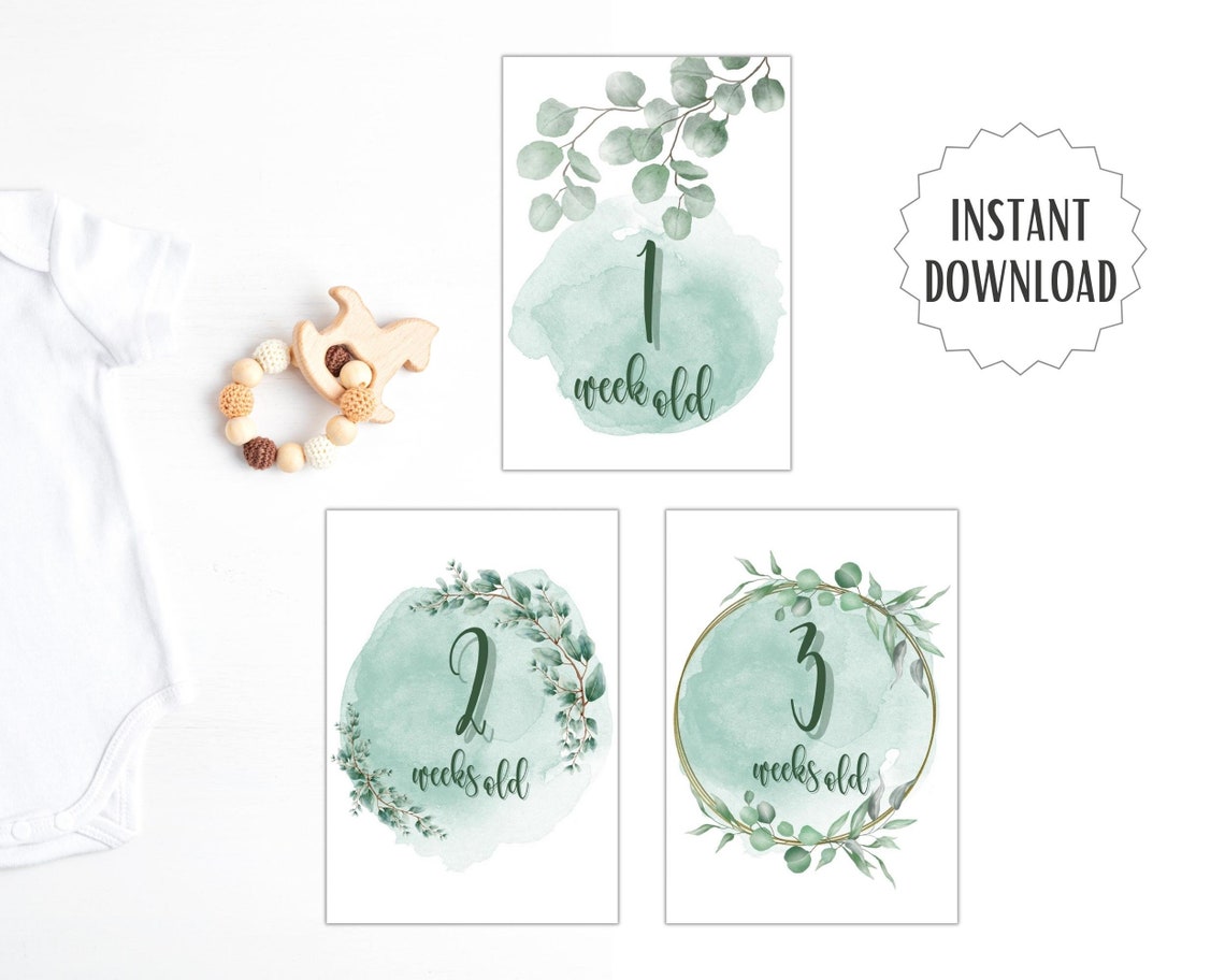 Printable Monthly Baby Milestone Cards Keepsake Milestone - Etsy