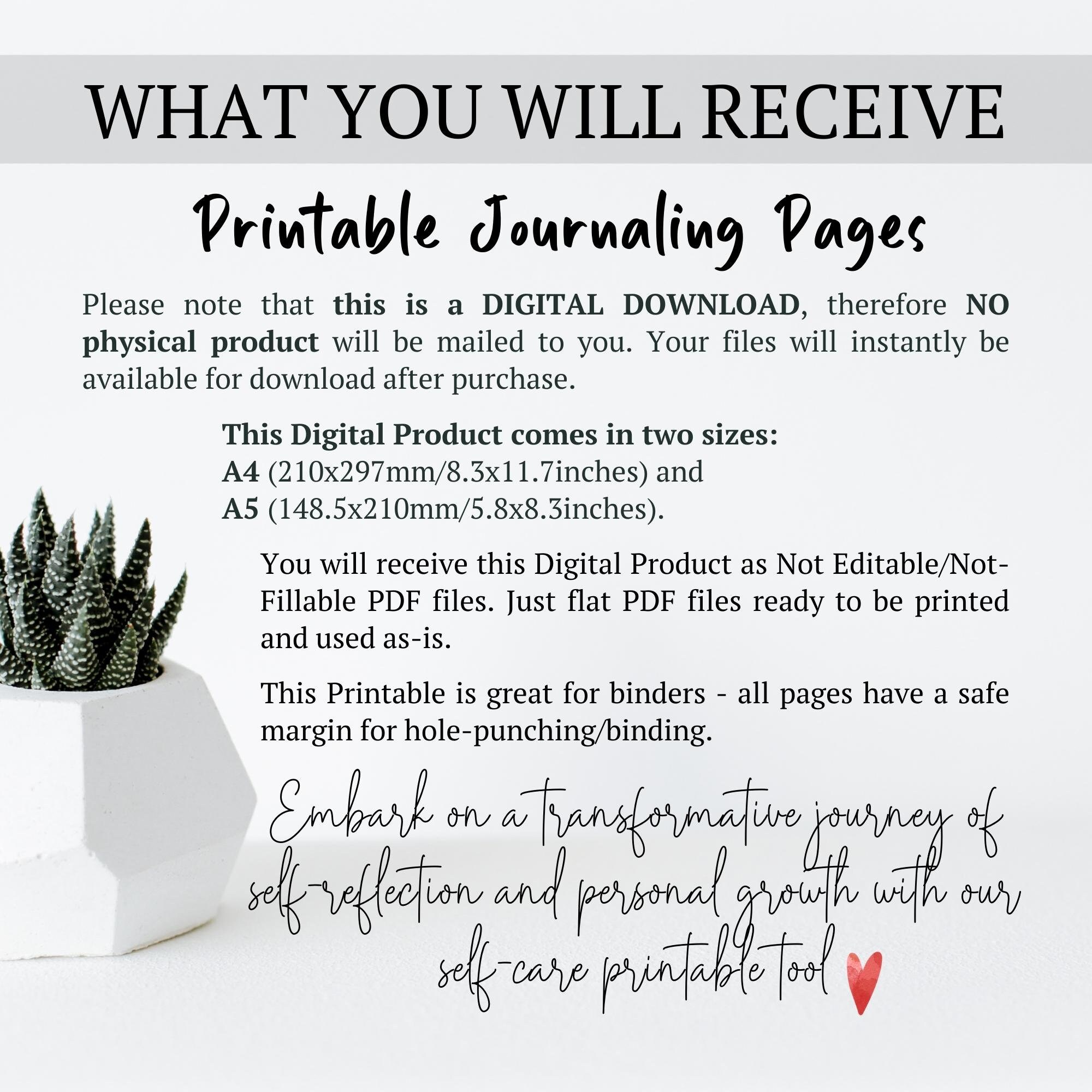 Daily And Monthly Reflection Review Pages Printable Daily Journal