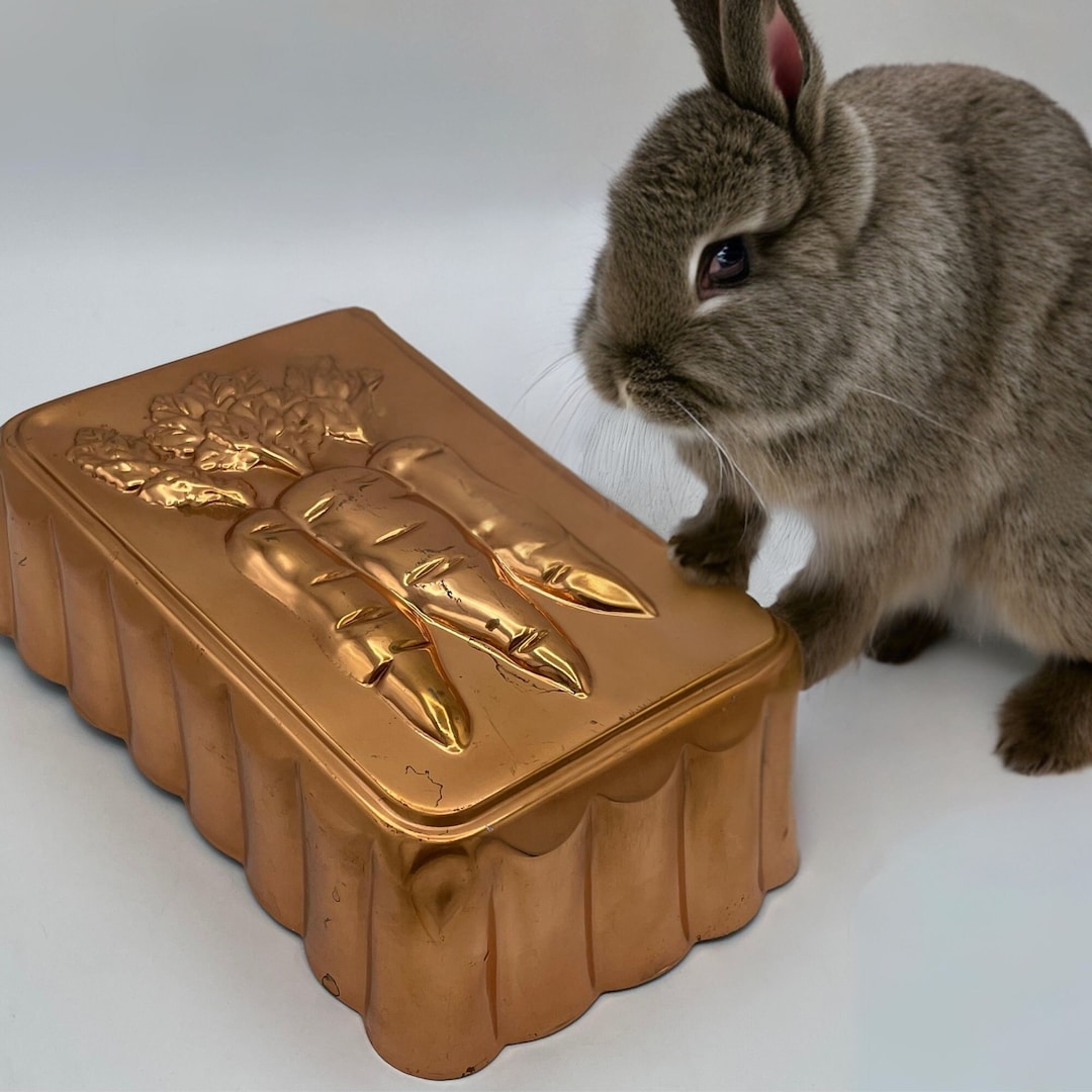 Vintage Copper Carrot Design Rectangular Mold, Wall Hanger, Farmhouse ...