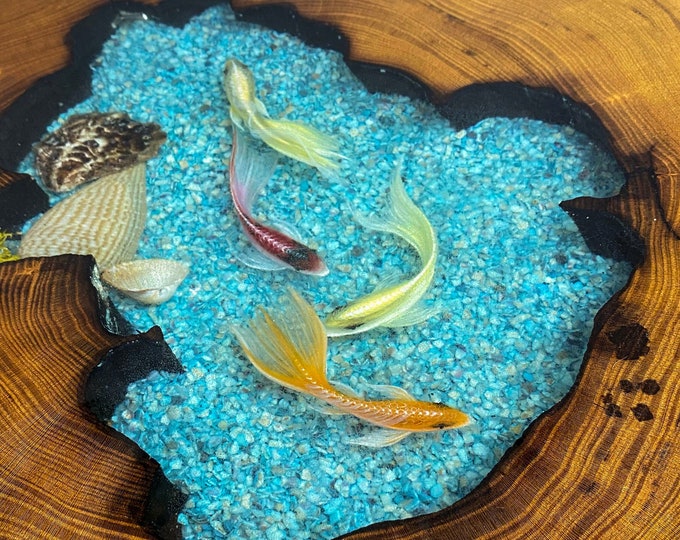 Custom Made & Koi Fish Resin Coffee Table, Unique Coffee Table, Modern ...