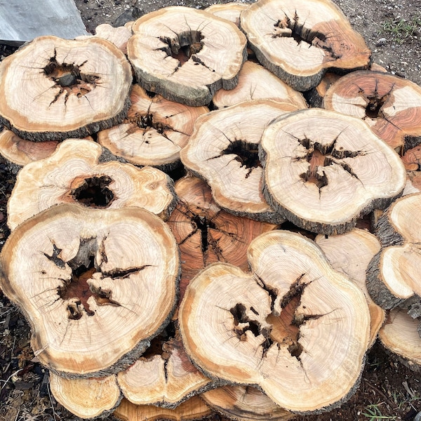 Live Edge Wood Slab - Etsy