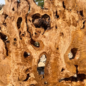 Turkish Olive Wood Slab, 60"x32"x1.6" Live Edge Wood Slab, Tree Slice ...