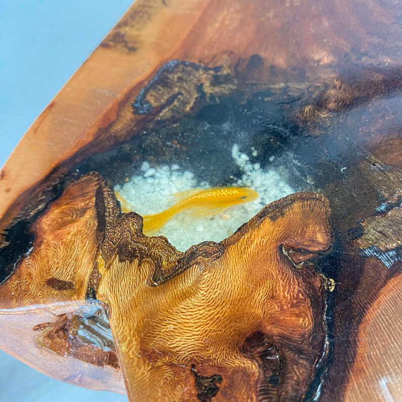 Sycamore Live Edge Koi Fish Coffee Table: Rustic Epoxy Resin - Etsy