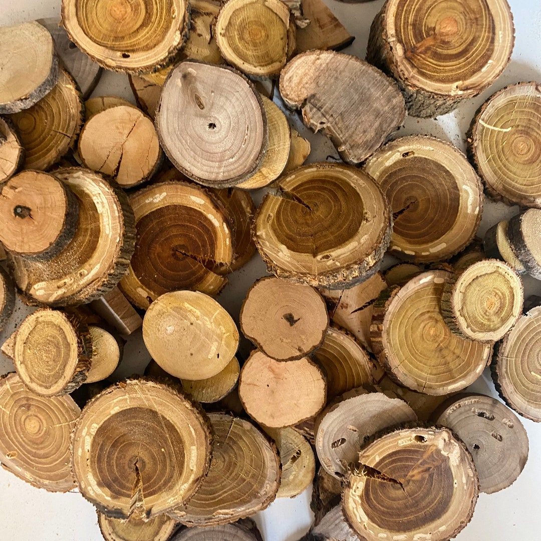 Wooden Coasters for DIY Art, Live Edge Wood, Tree Slices, Custom Wood ...