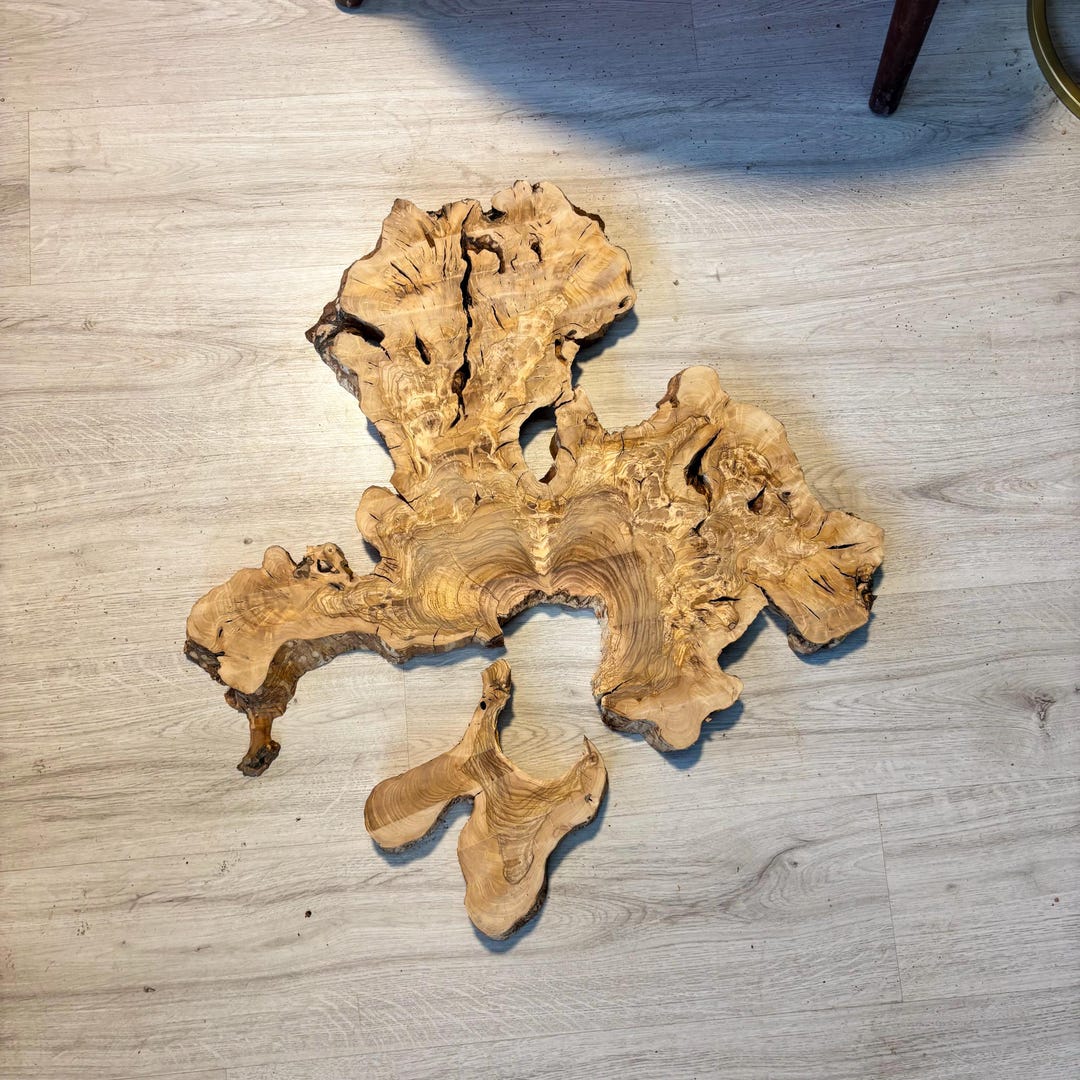 Turkish Olive Wood Slab, 30"x30"x1.2 Live Edge Wood Slab, Tree Slice ...