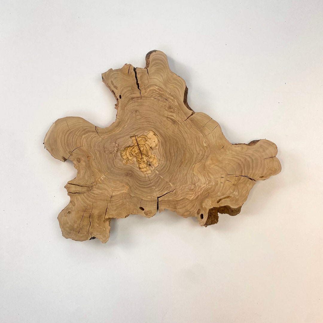 Live Edge Olive Wood Slab, 19"x14"x1.2" Raw Edge Wood, Epoxy Resin Wood ...