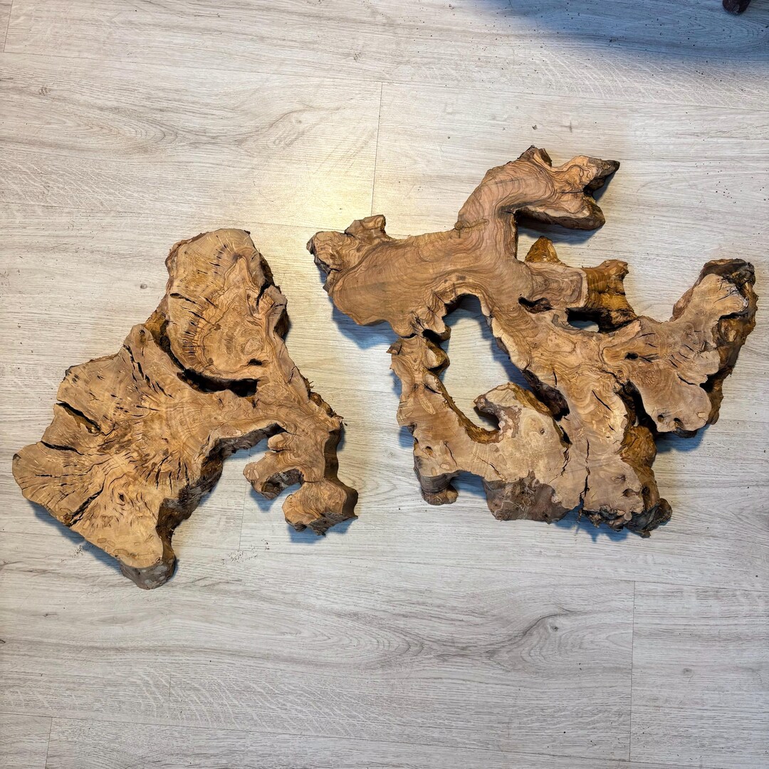Turkish Olive Wood Slab, 31.5"x18"x1.6 Live Edge Wood Slab, Tree Slice ...