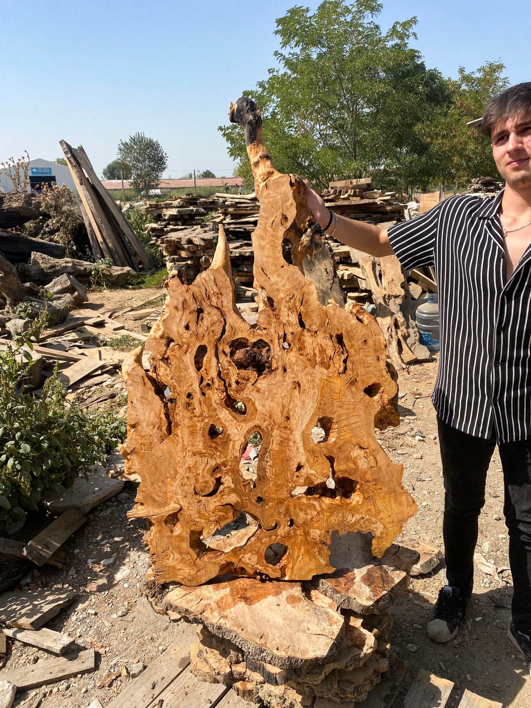 Turkish Olive Wood Slab, 60"x32"x1.6" Live Edge Wood Slab, Tree Slice ...