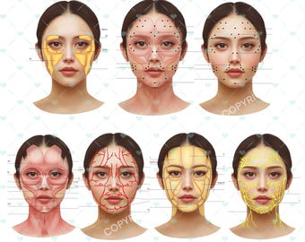 Male Muscles of the Face and Neck | Botox & Filler Injector | Anatomy ...