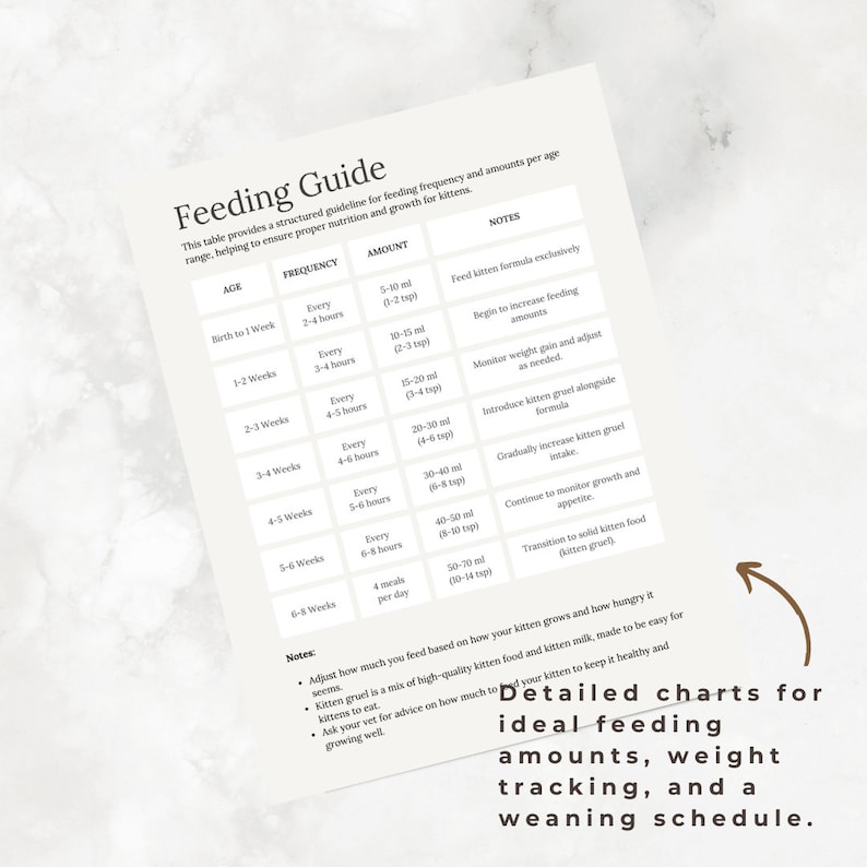 Comprehensive Neonatal Kitten Care Guide, Kitten Care Checklist, Kitten ...