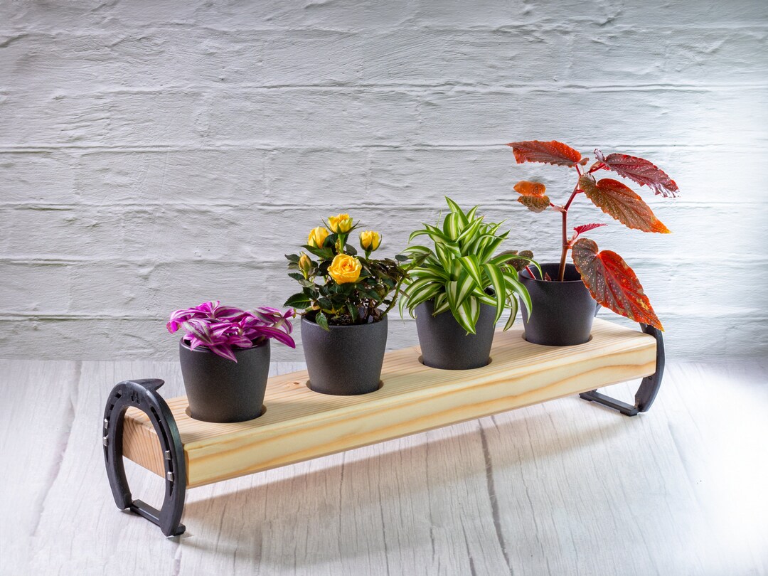 Horseshoe Plant Stand for Horse Lovers, Anniversary, Birthday, Wedding ...