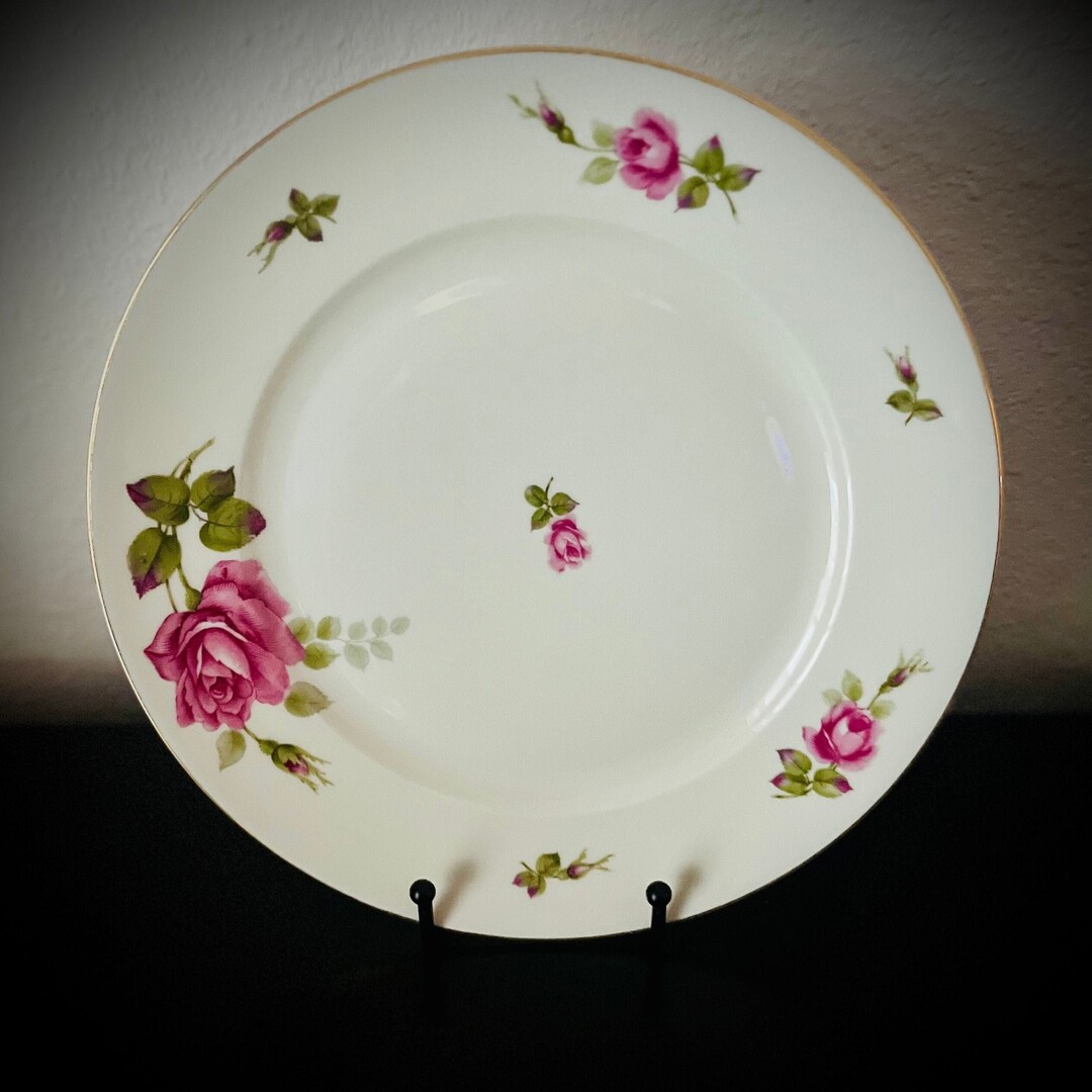 Rosenthal Selb-plossberg Germany Aida Cream, Roses 2825 10 Dinner ...