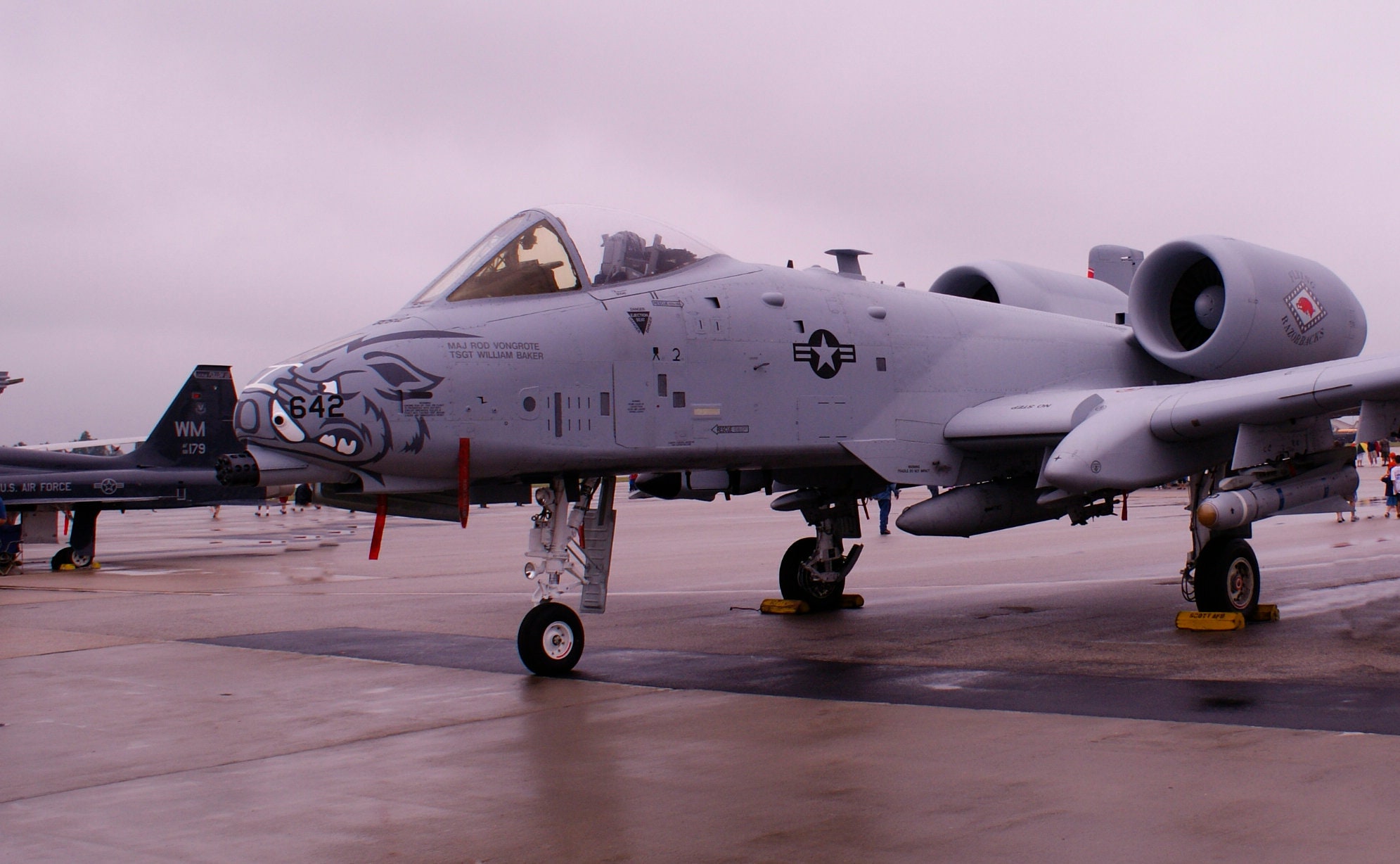 A-10 Warthog "flying Razorback" 10"x20" Thin Framed Canvas Print - Etsy
