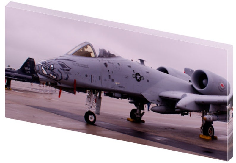 A-10 Warthog "flying Razorback" 10"x20" Thin Framed Canvas Print - Etsy