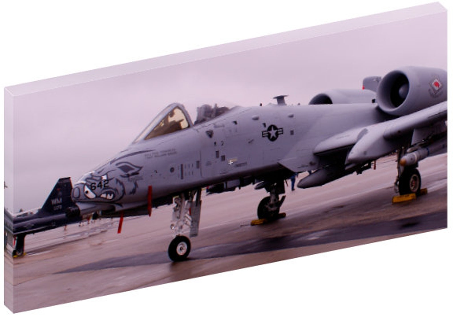 A-10 Warthog "flying Razorback" 10"x20" Thin Framed Canvas Print - Etsy