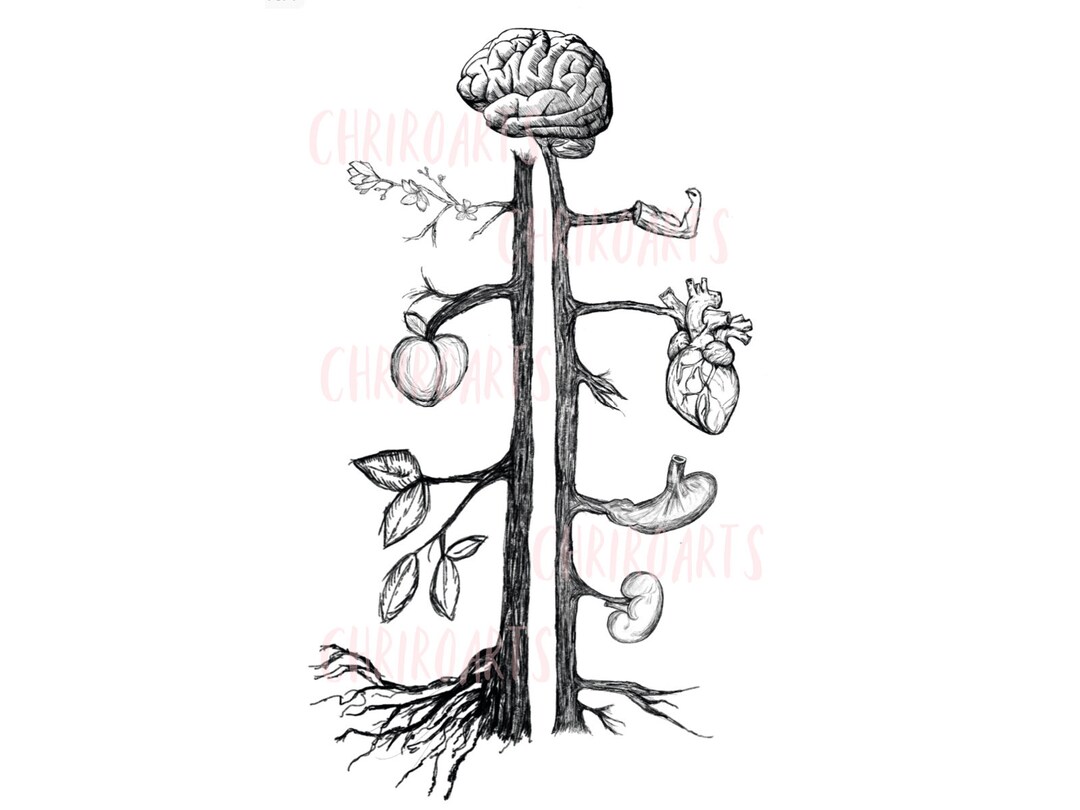 Spinal Cord Tree of Life - Etsy