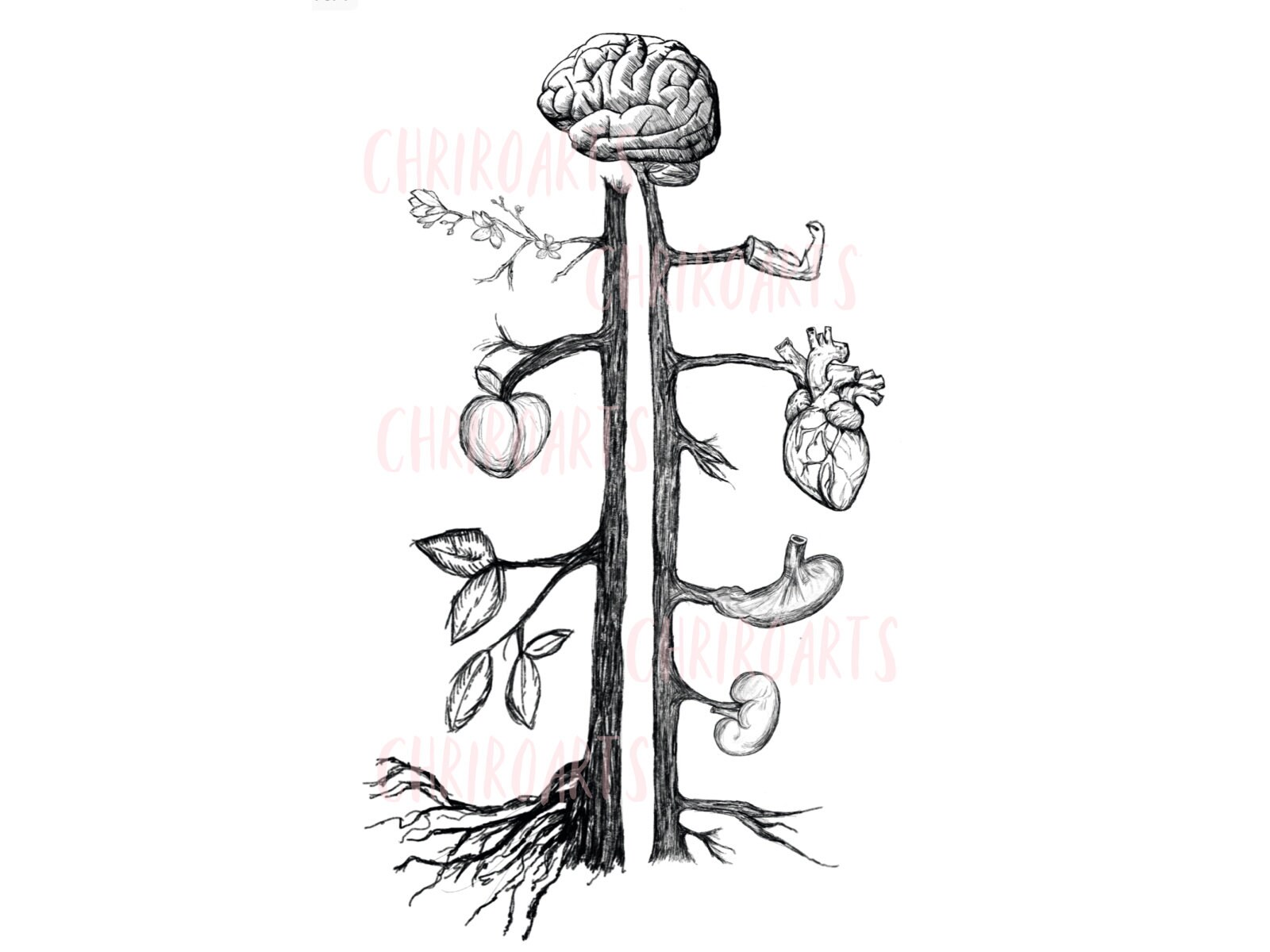 Spinal Cord Tree of Life - Etsy