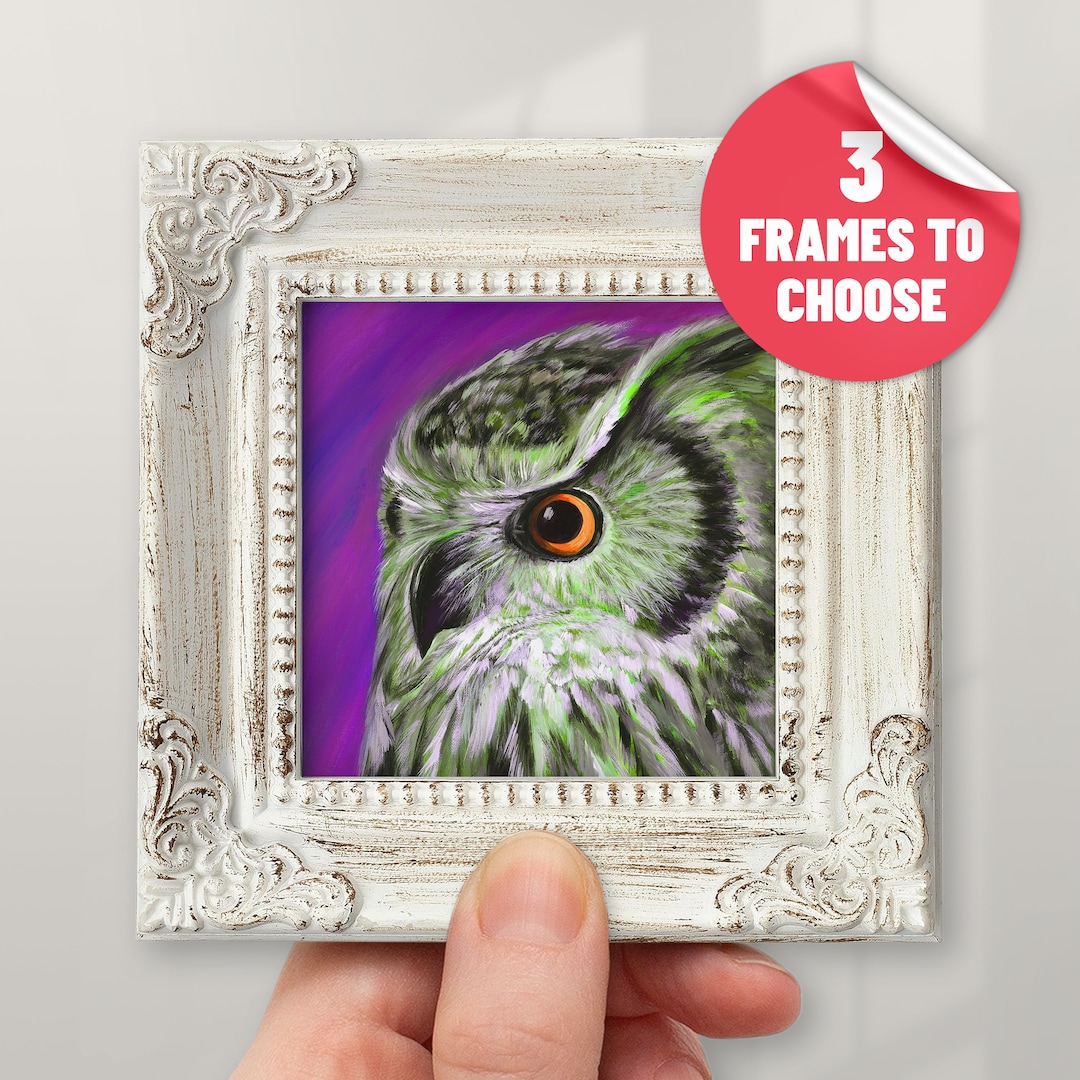 Colorful Owl Picture With Frame Art Owl Room Decor From Painting Framed ...