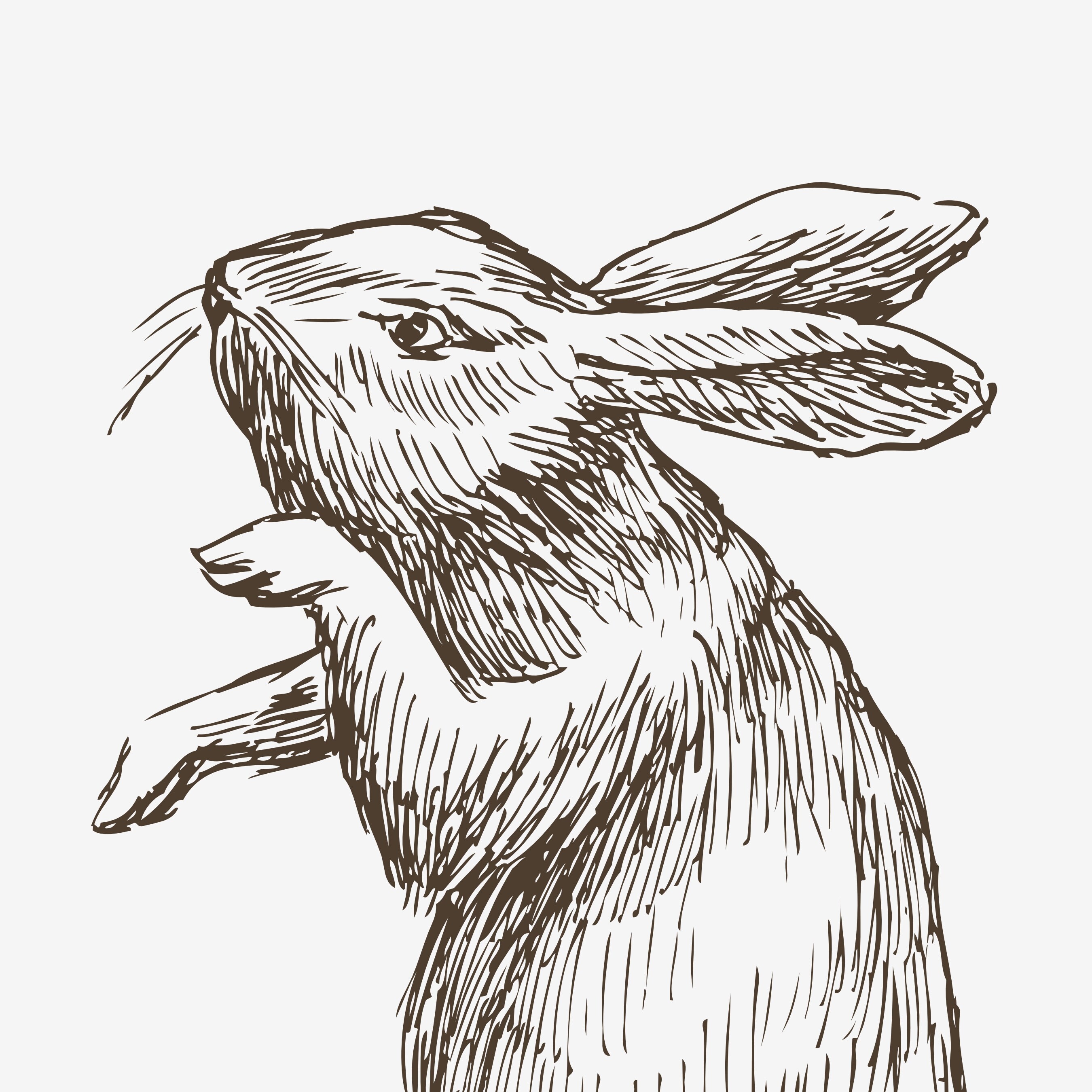 Bunny Hand Drawing Easter Print With Frame Rabbit Sketch Picture Room ...