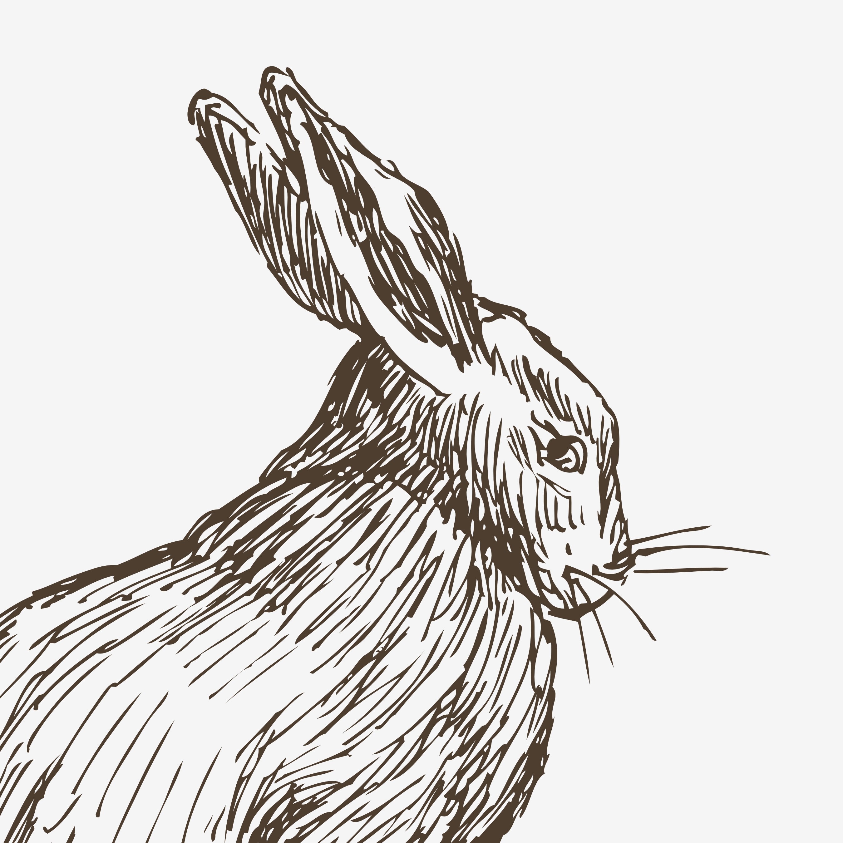 Bunny Hand Drawing Easter Print With Frame Rabbit Sketch Picture Room ...