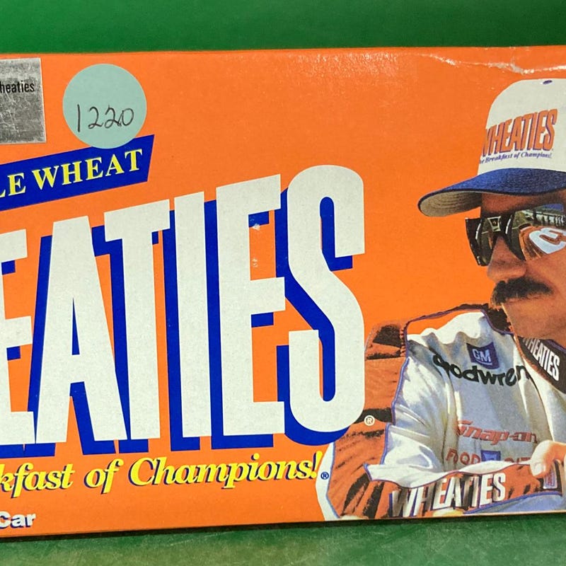 Earnhardt 1/24 - Etsy