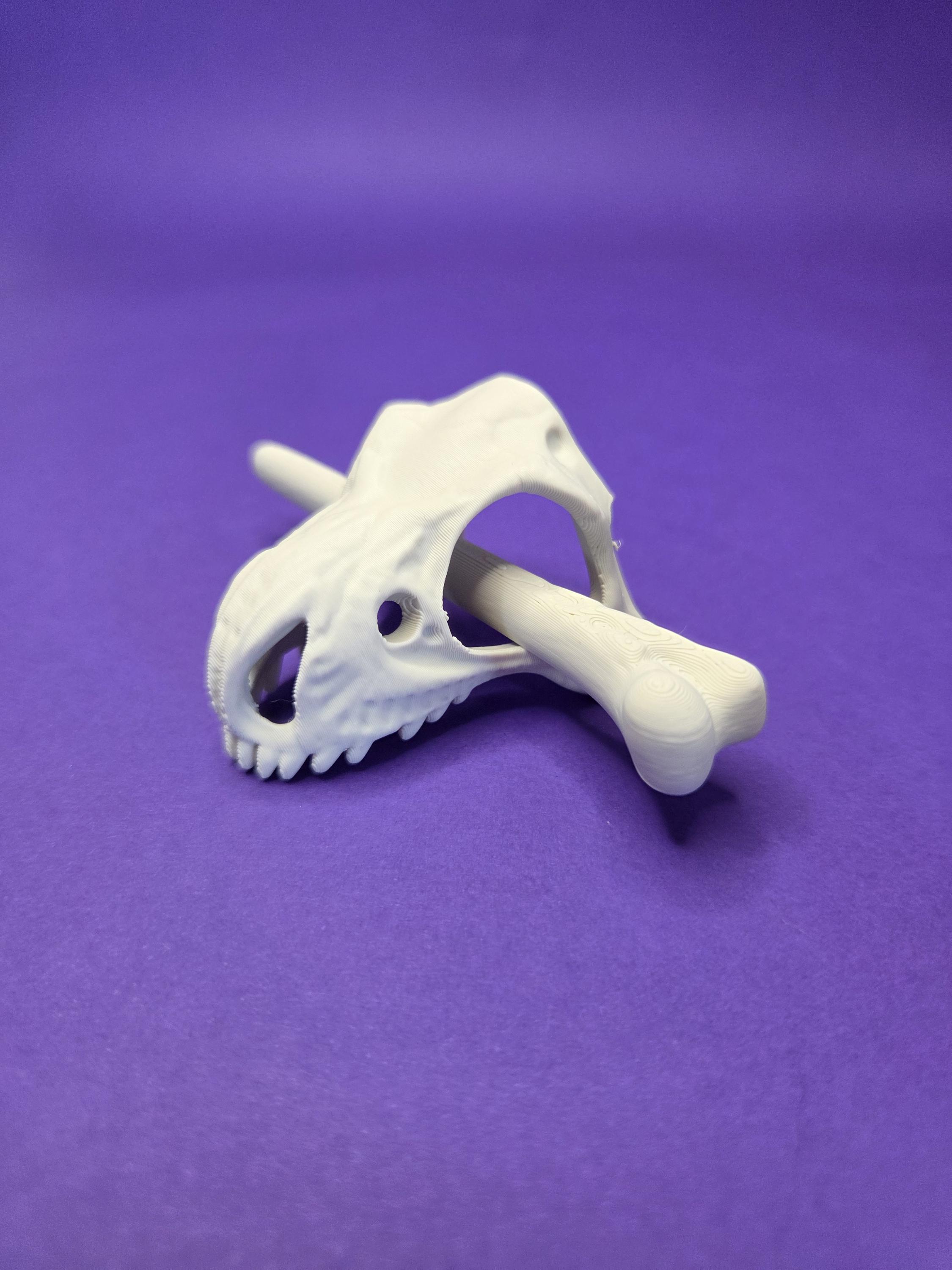 Buy Dino Skull Hair Pin: Gothic Alt Hair Accessory - 3D Printed Online ...