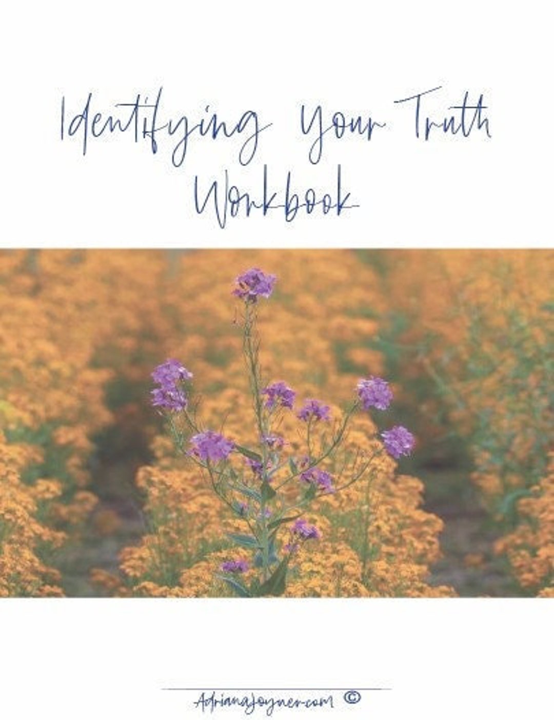 Identifying Your Truth Workbook - Etsy