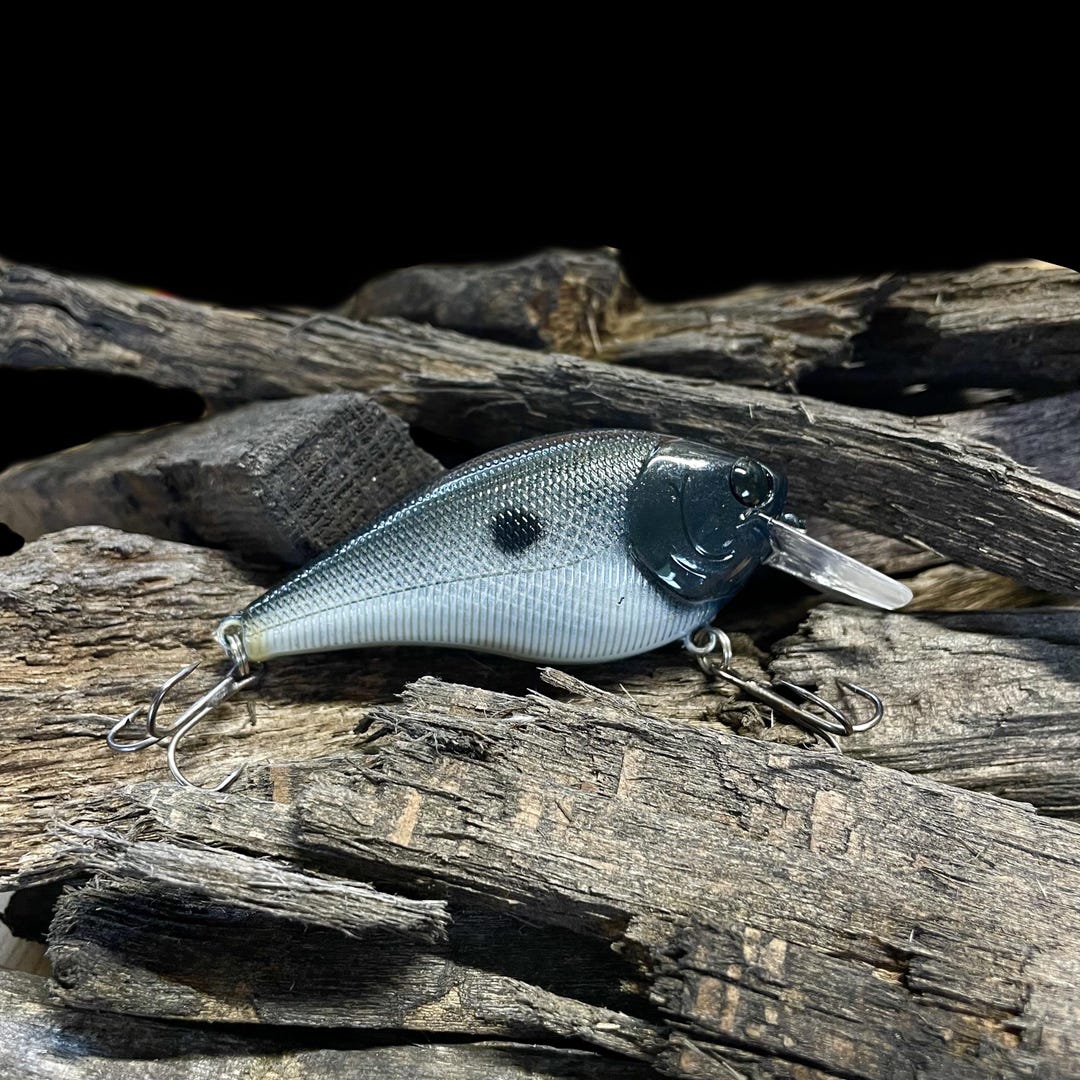 Shad Premium Painted Square Bill Crankbait Fishing Lure. - Etsy