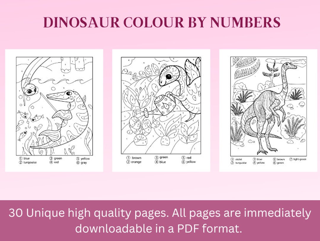 Dinosaur Colour by Numbers - Etsy