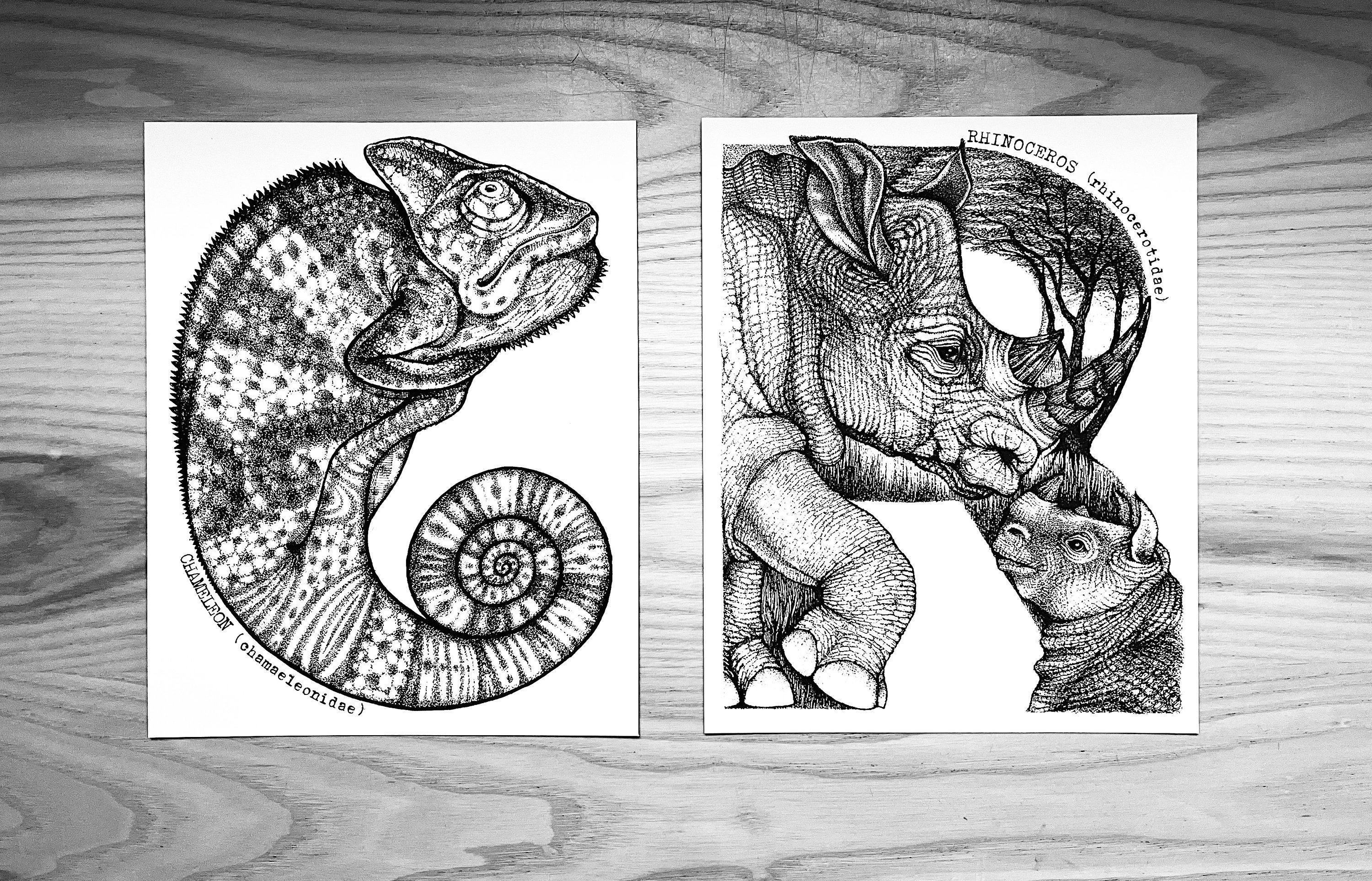 Letter A Single Letter Print - Etsy