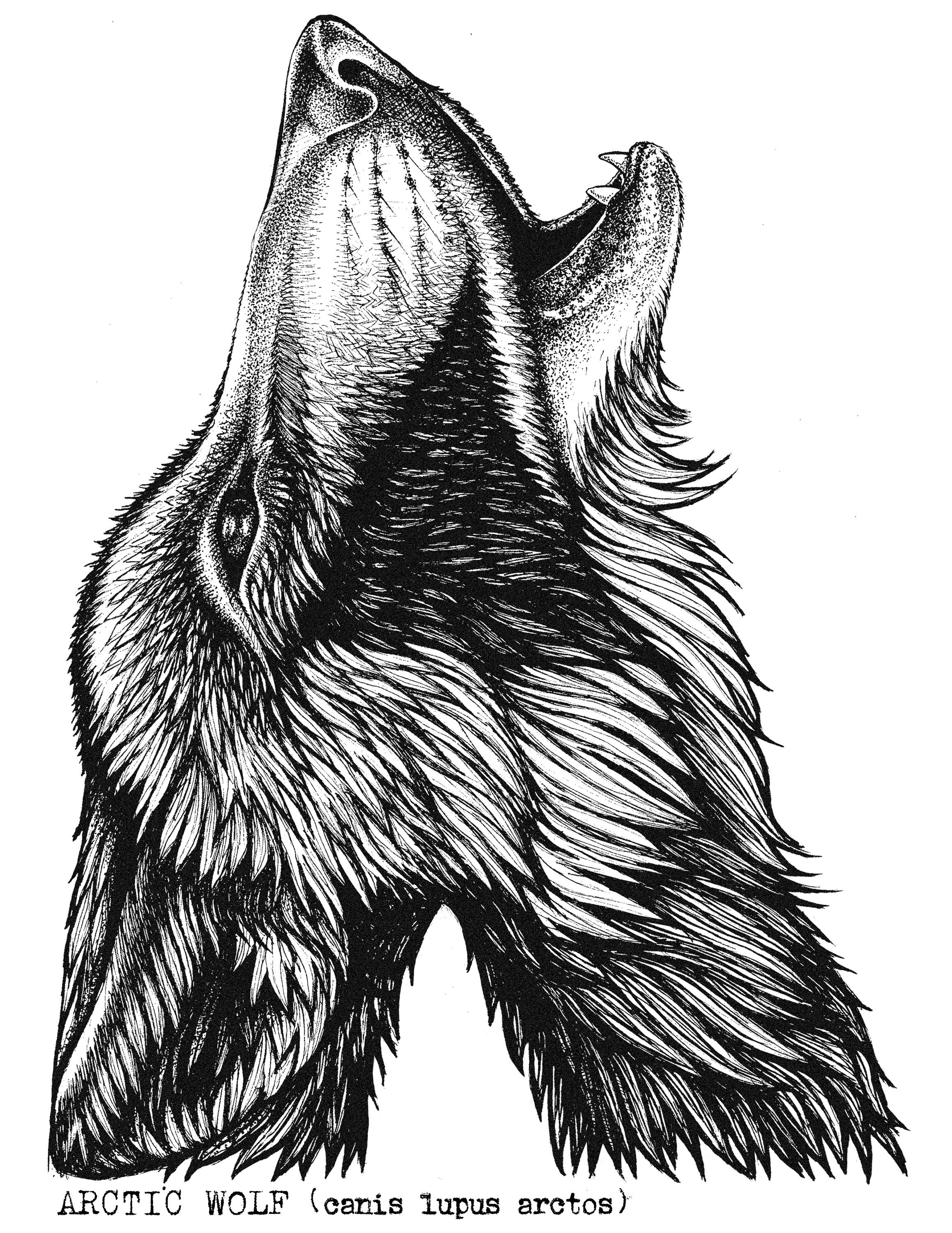 Letter A- Single Letter Print - Etsy