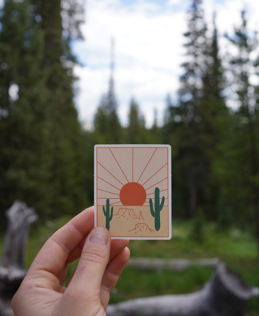 Desert Scene - Vinyl Sticker - National Parks Sticker - Cactus ...