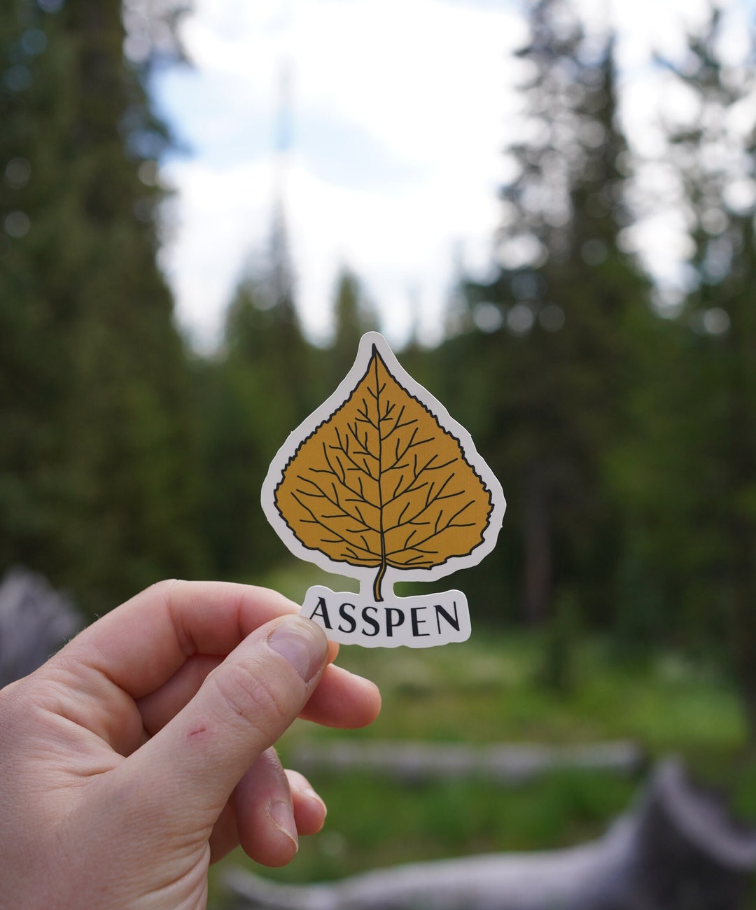 Asspen Resort Vinyl Sticker Ski Sticker - Etsy