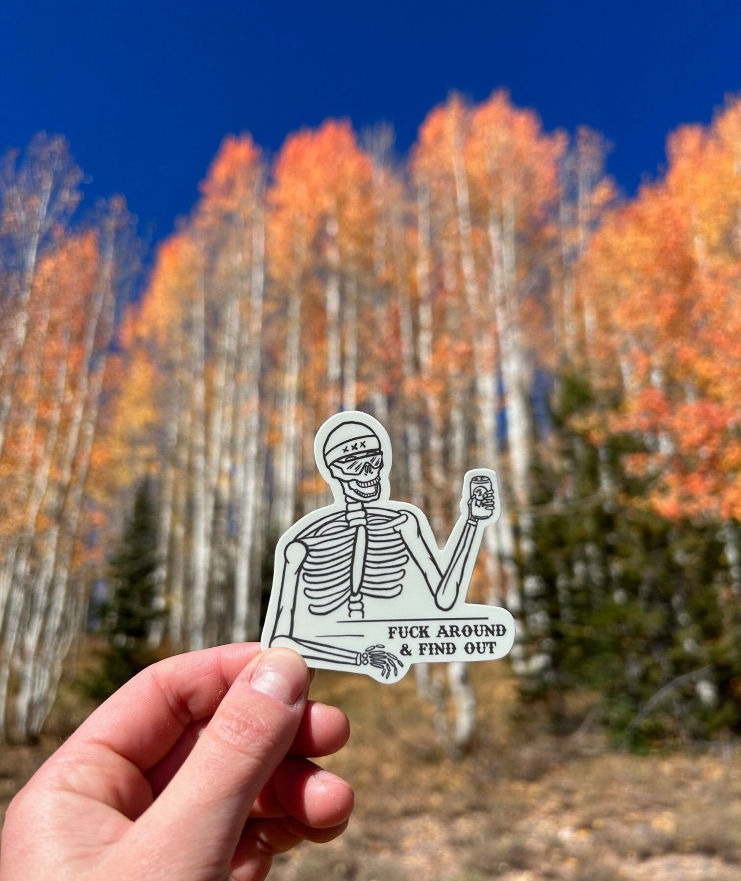 PBR Skeleton Vinyl Sticker PBR Beer Waterproof Vinyl Ski Town Hipster ...