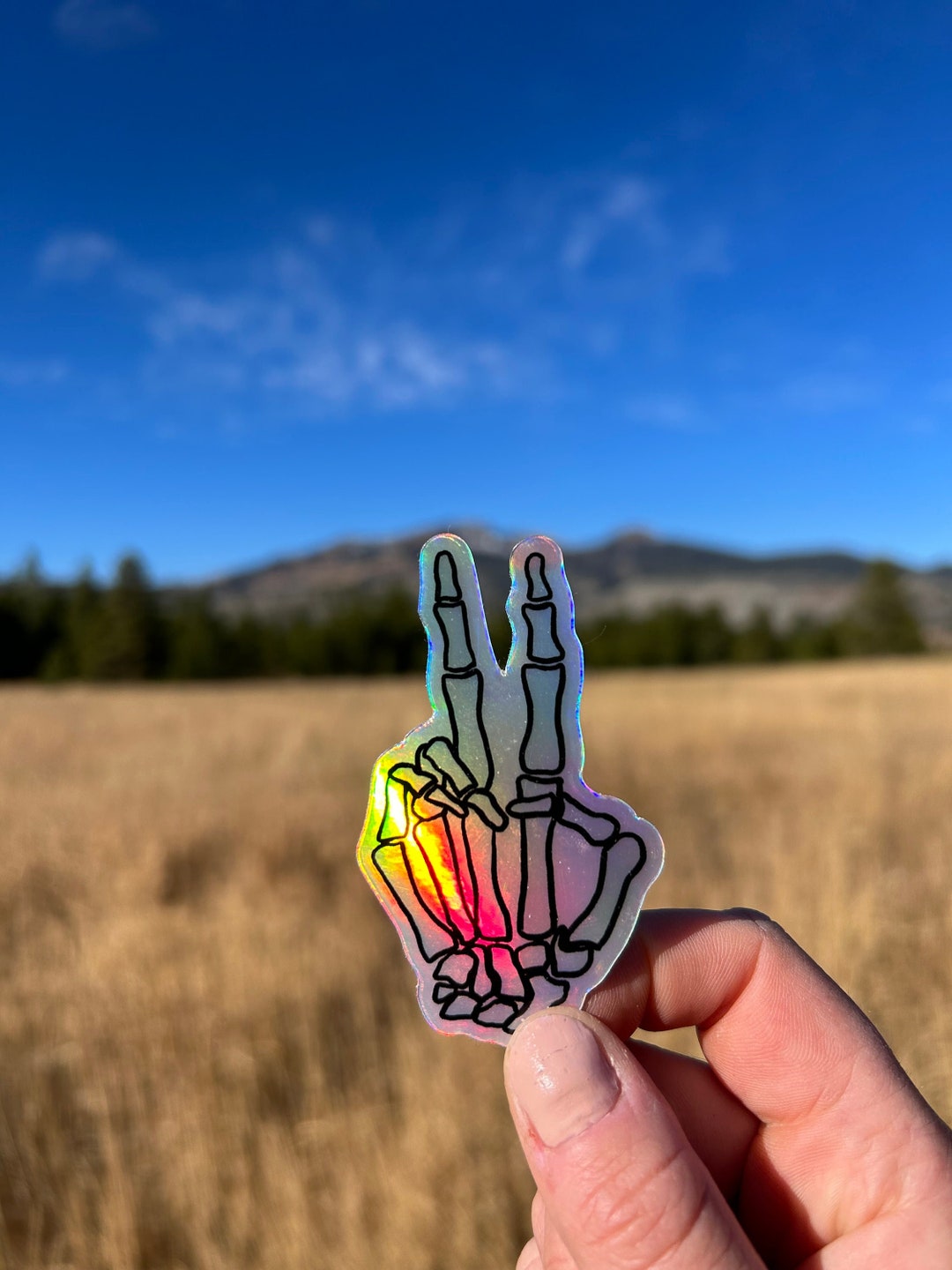 Holographic Skeleton Peace Sign Sticker - Etsy