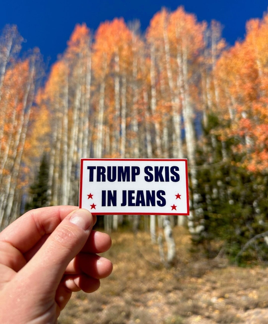 Trump Skis in Jeans - Vinyl Sticker - Waterproof Funny Ski Sticker ...