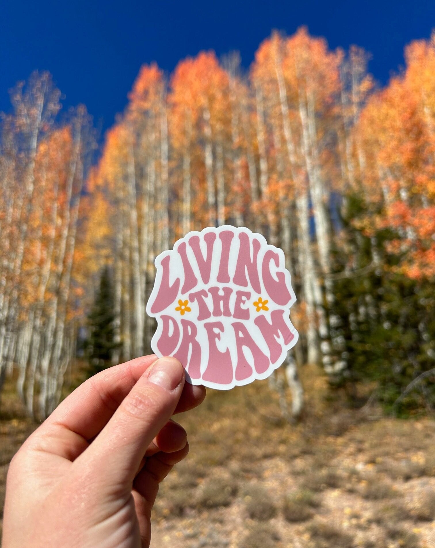 Living the Dream Vinyl Sticker - Etsy