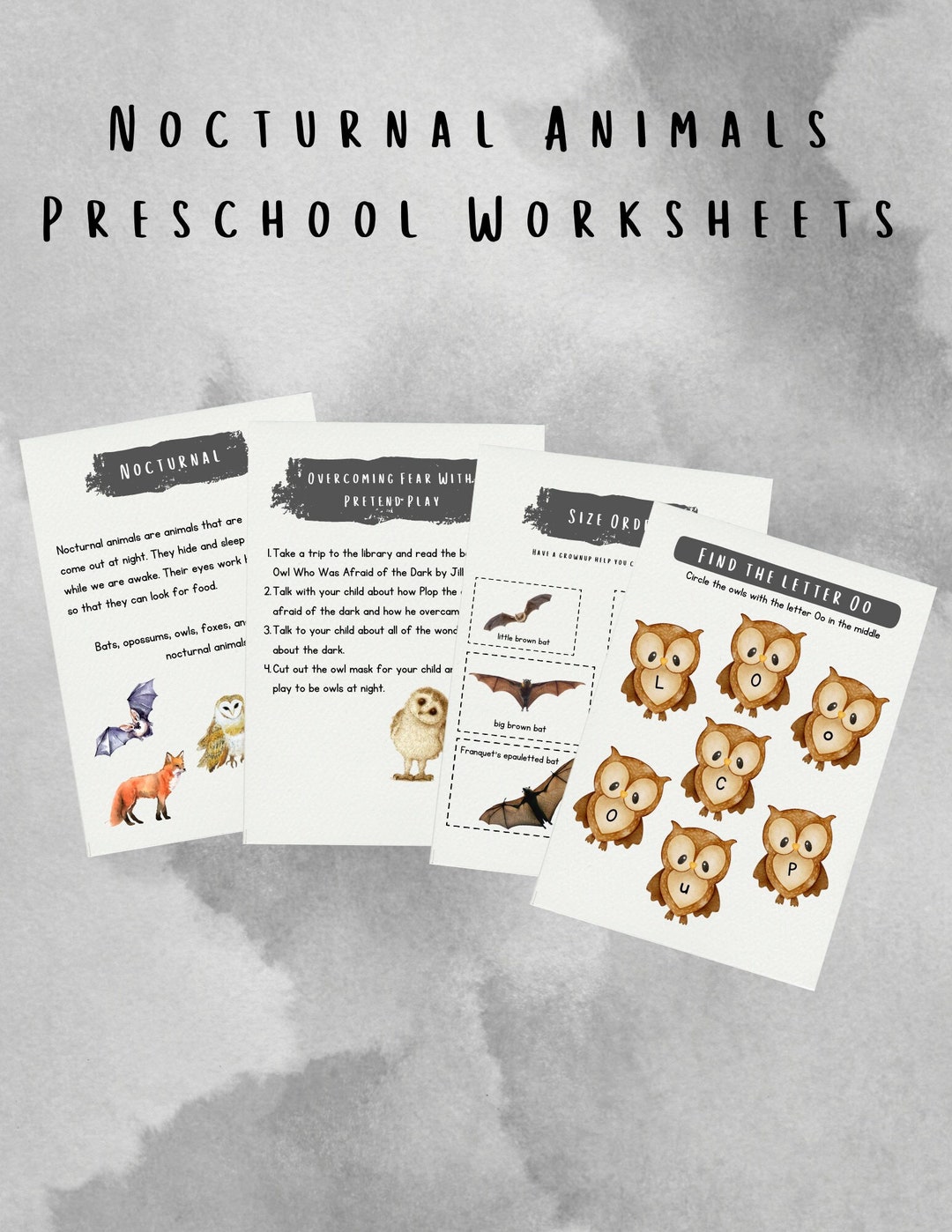 Nocturnal Animals Preschool Packet - Etsy