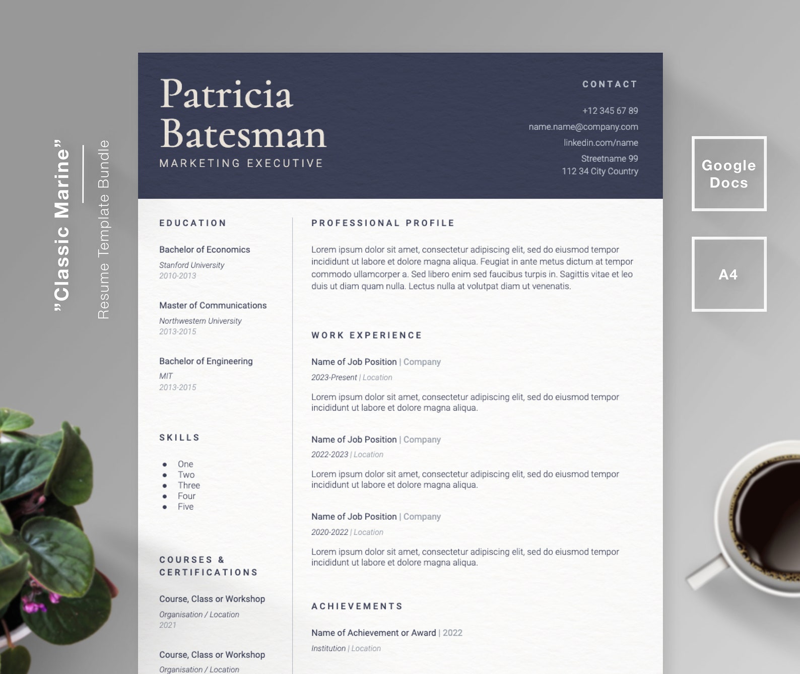 Classic Resume Template for Google Docs Professional CV Design ...