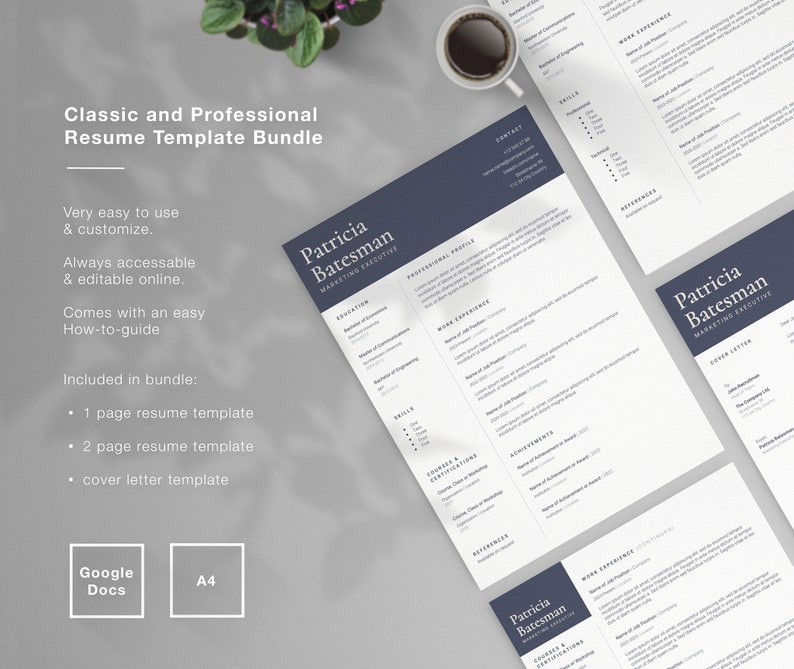 Classic Resume Template for Google Docs | Professional CV Design ...