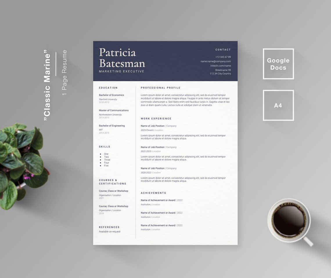 Classic Resume Template for Google Docs | Professional CV Design ...