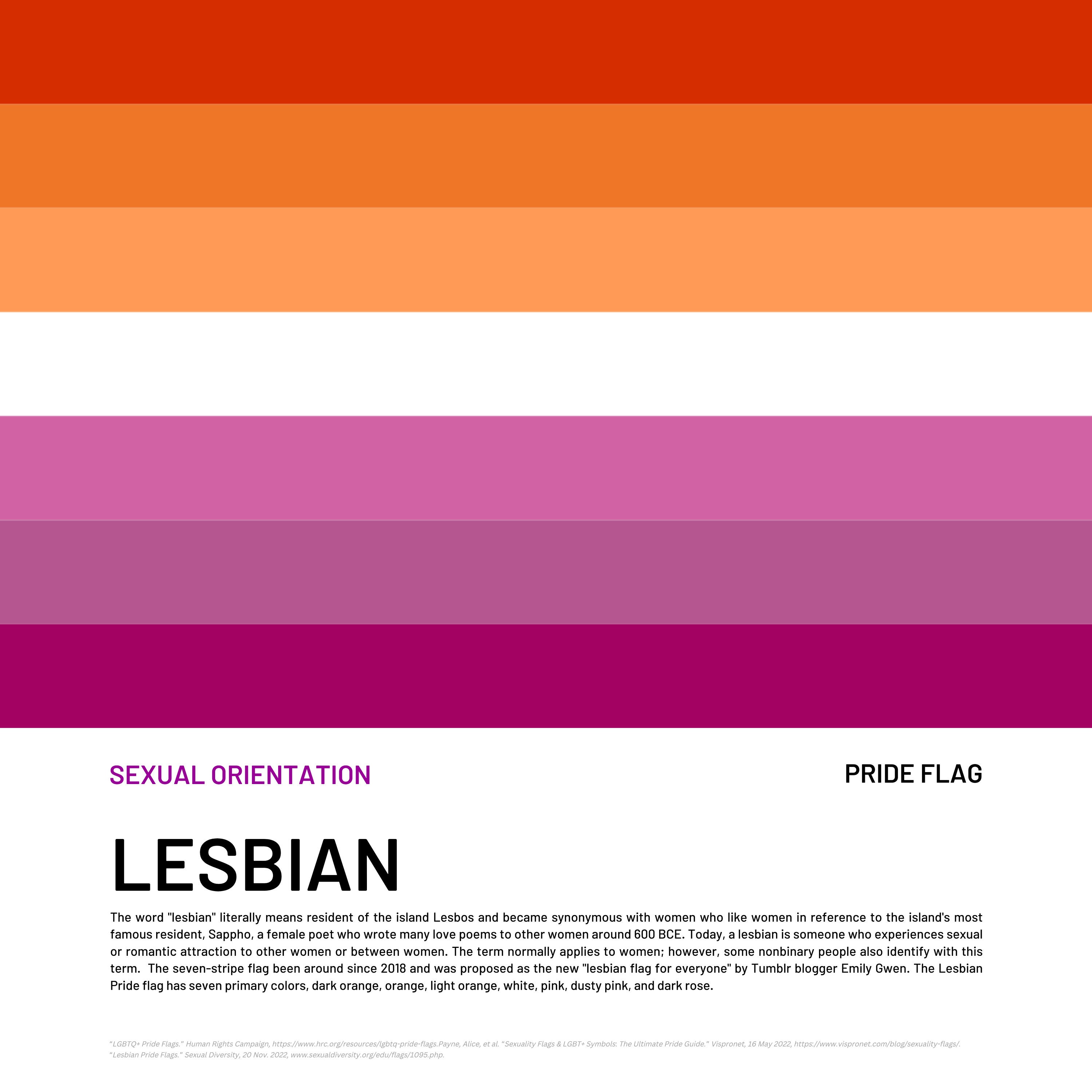 115 Square Pride Flag Poster Cards (with Flag Meanings and Descriptions ...