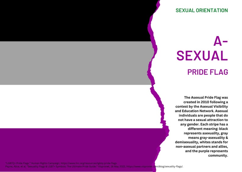 41 Pride Flag Poster Cards (with Meanings and Descriptions) - Etsy