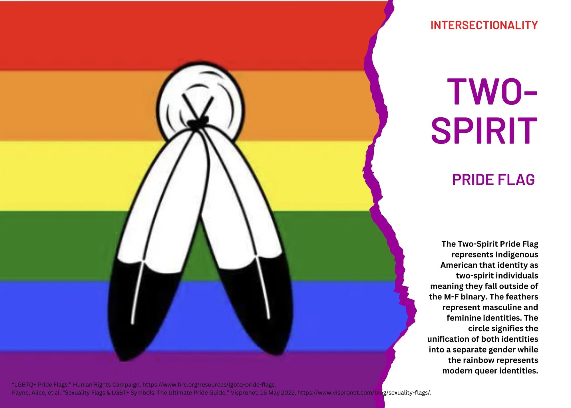 41 Pride Flag Poster Cards (with Meanings and Descriptions) - Etsy