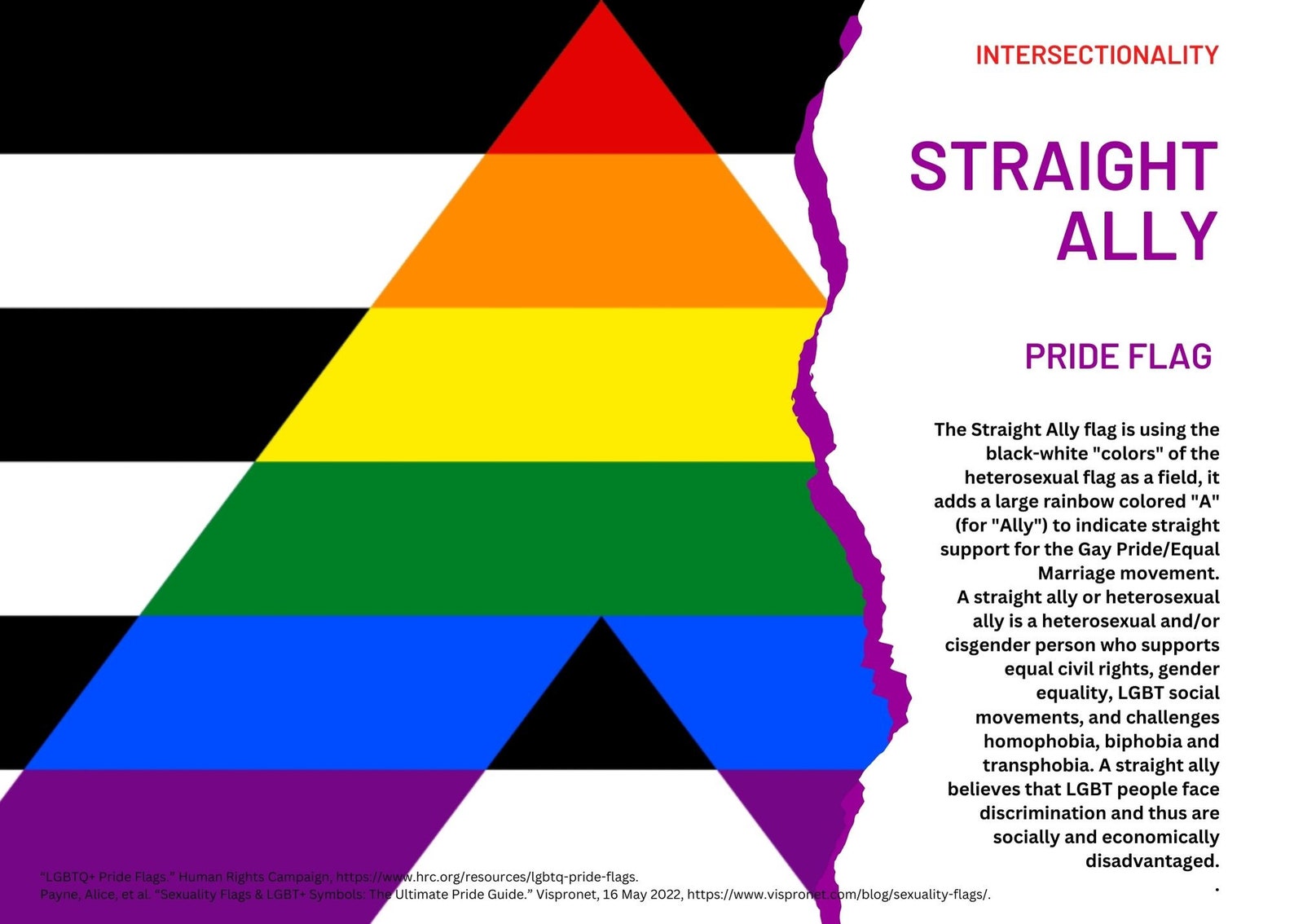 41 Pride Flag Poster Cards (with Meanings and Descriptions) - Etsy